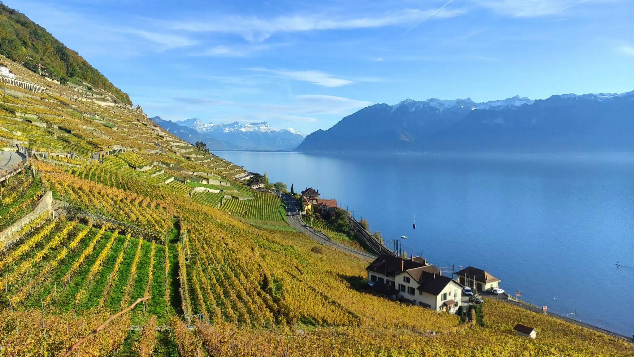 Vins Suisse : une riche palette de climats et cépages - Domaine La ...